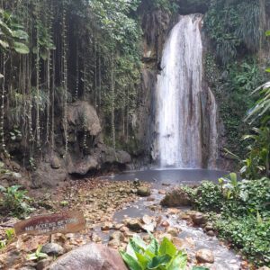 Visit Diamond Falls & Botanical Gardens – Nature’s Spa Day with a ...